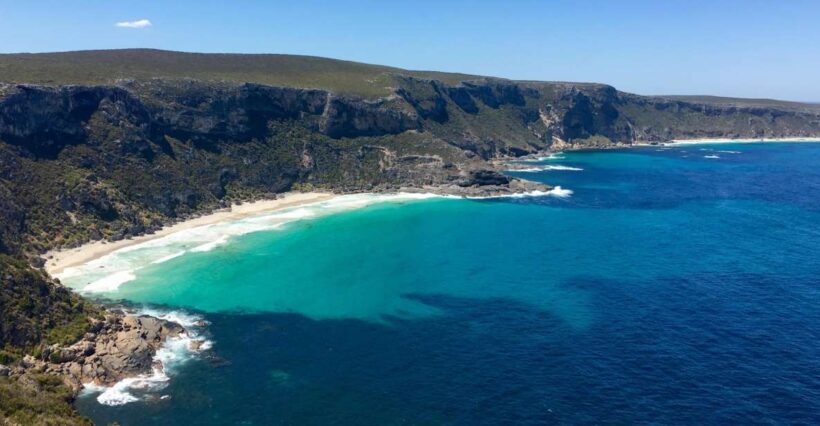 Kangaroo Island: Scenic, Nature & Wildlife Tour - What Really Sets This Tour Apart