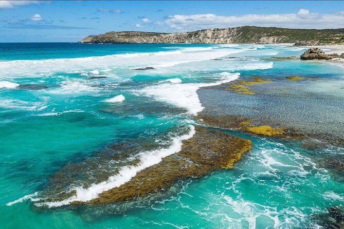 Kangaroo Island Shore Excursion Tasting Tour - For Cruise Ship Passengers Only - Final Thoughts: Is It Worth It?