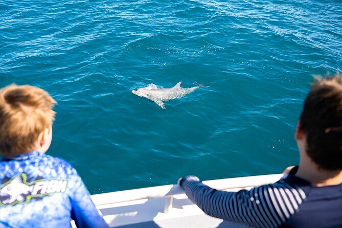 Kangaroo Island - Swim with Dolphins/Seals/Coastal Snorkel - FAQs