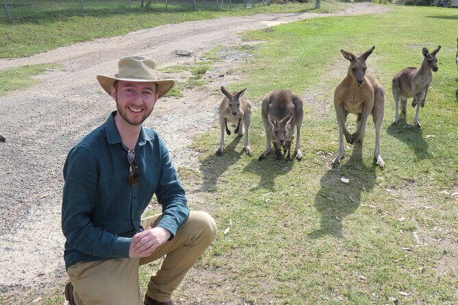 Kangaroo Wildlife Half Day Small Group Tour From Sydney - An In-Depth Look at the Tour Itinerary
