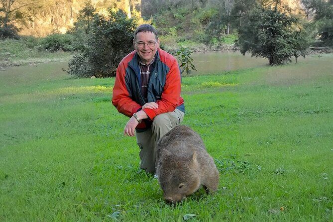 Kangaroo Wildlife Half Day Small Group Tour From Sydney - Final Thoughts