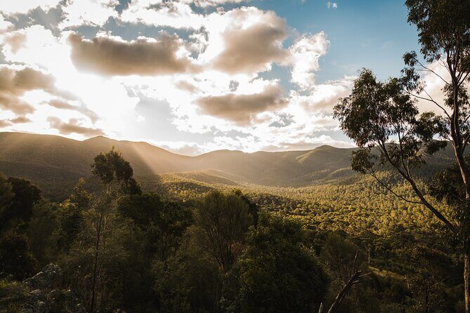 Kangaroos and Koala Experience Tour - Frequently Asked Questions