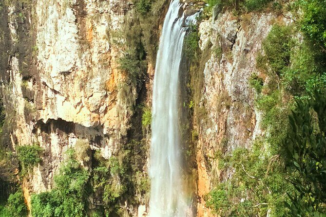 Kangaroos, Rainforest & Waterfalls Experience - Small Group - Frequently Asked Questions