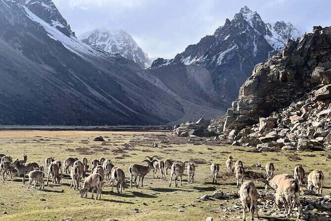 Kangchenjunga Circuit South and North Base Camp Trek - Who Will Love This Trek?