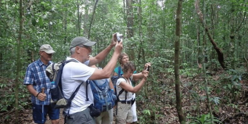 "Kanneliya Forest Discovery: Guided Nature Expedition" - Why This Tour Is a Great Choice