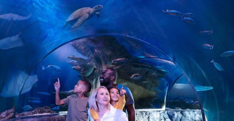 Kansas City: SEA LIFE Kansas City Aquarium General Admission - Analyzing the Value