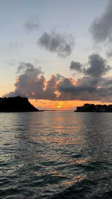 Kaohsiung Private Tour - Discover Local Hidden Gems - Tasting Local Flavors: From Pineapple Cake to Bubble Milk Tea