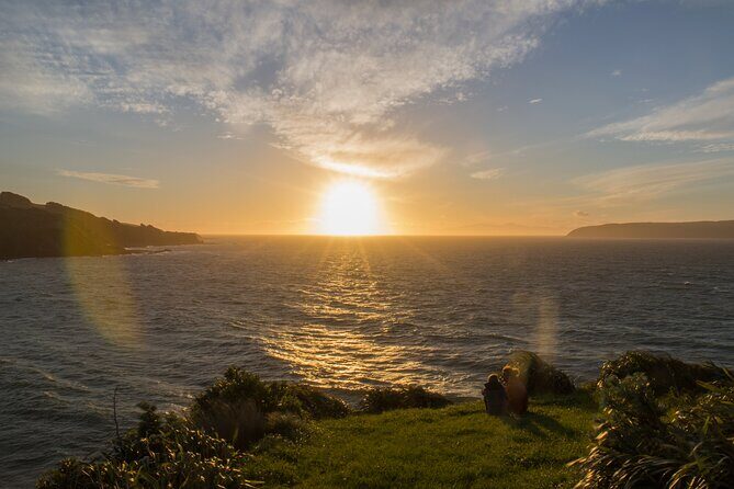 Kapiti Coast and Foxton Area Beaches Day Tour - What to Expect from the Kapiti Coast and Foxton Area Beaches Day Tour