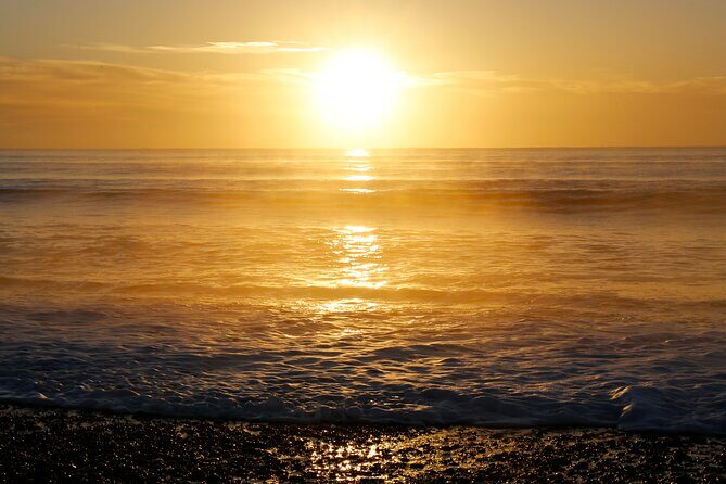 Kapiti Coast and Foxton Area Beaches Day Tour - Final Thoughts