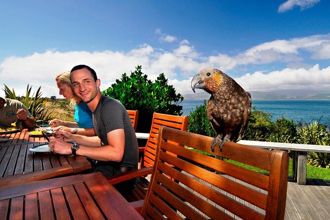 Kapiti Island Classic Guided Day Tour - A Detailed Look at the Kapiti Island Guided Day Tour