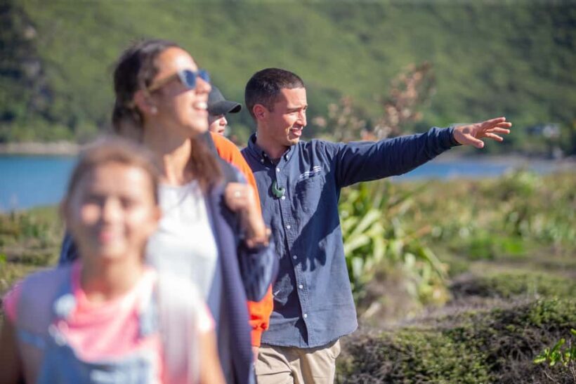 Kapiti Island: Classic Guided Day Tour - An In-Depth Look at the Kapiti Island Tour