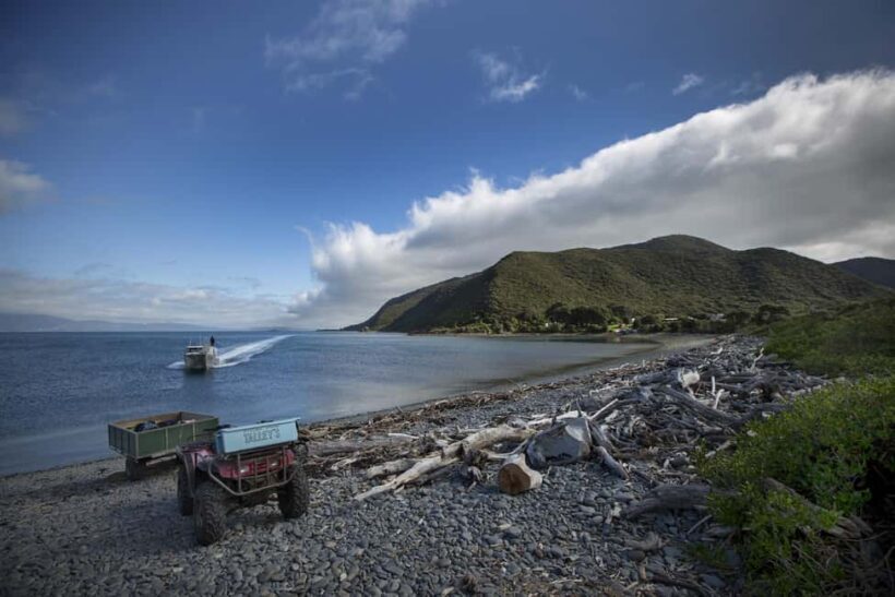 Kapiti Island: Classic Guided Day Tour - FAQ
