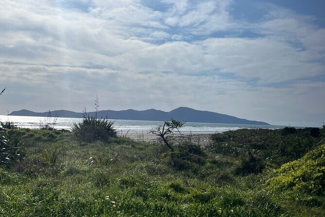 Kapiti Private Tour in Tesla SUV - Transportation and Comfort: Why a Tesla SUV?