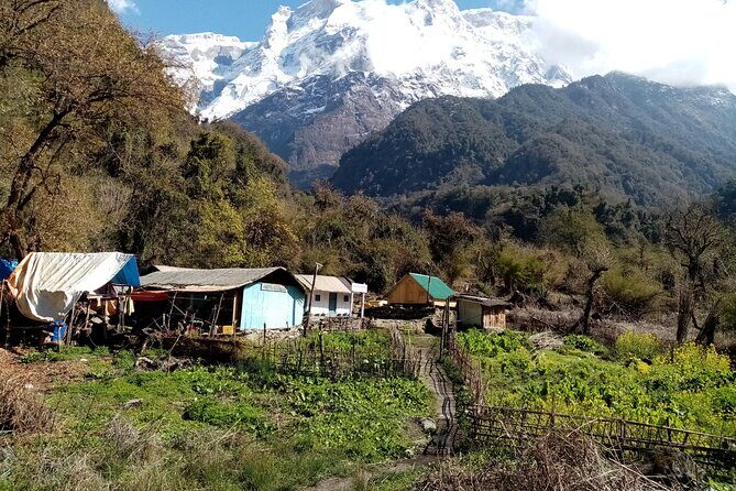 Kapuche Glacier Lake Trek - Key Points