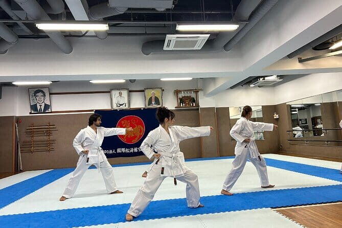 Karate Experience with the Shotokan Karate-do Instructor - The Sum Up: Who Will Love This?