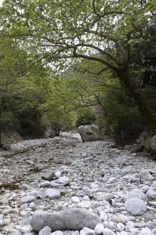 Kardamili : Hiking in Ridomo gorge - Key Points