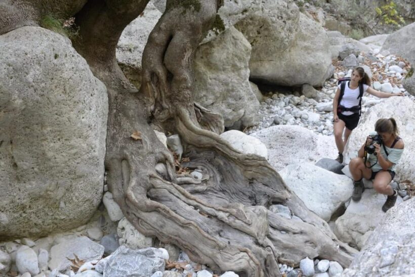Kardamili : Hiking in Ridomo gorge - FAQ