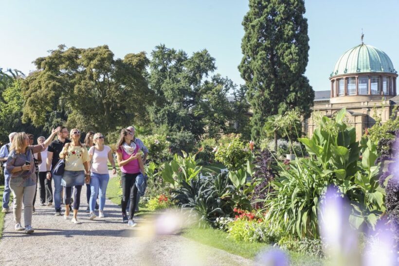 Karlsruhe: Guided City History & Culture Walking Tour - A Deep Dive into the Karlsruhe Guided Tour Experience