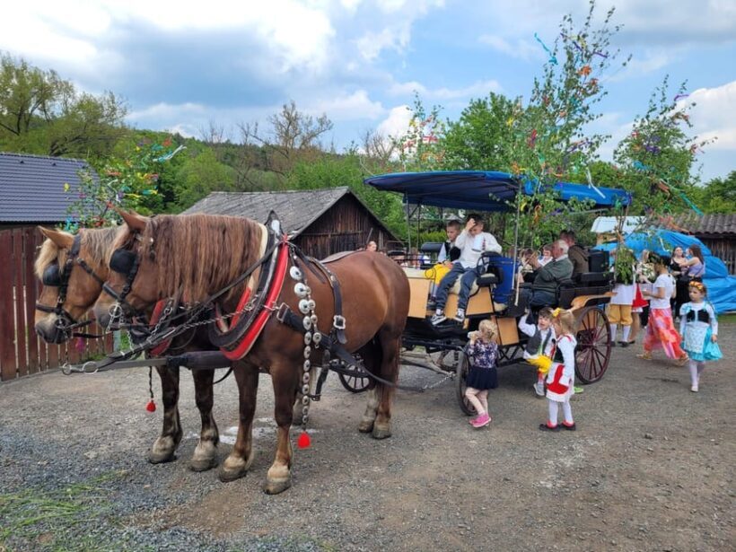 Karltejn castle by horse carriage - Detailed Itinerary Breakdown