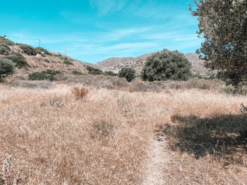 Karpathos: Easy Guided Nature and Culture Hike in Pigadia - The Detailed Itinerary: What Youll Experience