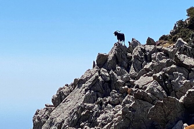 Karpathos Kali Limni Hike to the highest peak of the Dodecanese - Authentic Reviews: What Past Adventurers Say