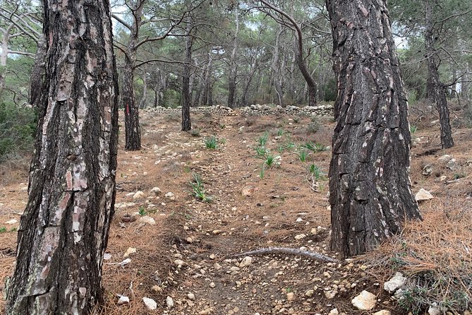 Karpathos Scenic Agia Kyriaki Walk From Pigadia - Pricing and Booking Information