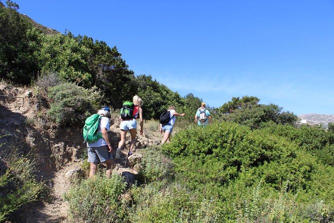 Karpathos Valley Walk in Pigadia - Easy Guided Walking Tour - Accessibility and Participation Notes