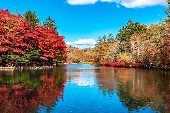 Karuizawa, Kawagoe and Hashino Resort Shrine Day Tour from Tokyo - The Full Itinerary Breakdown