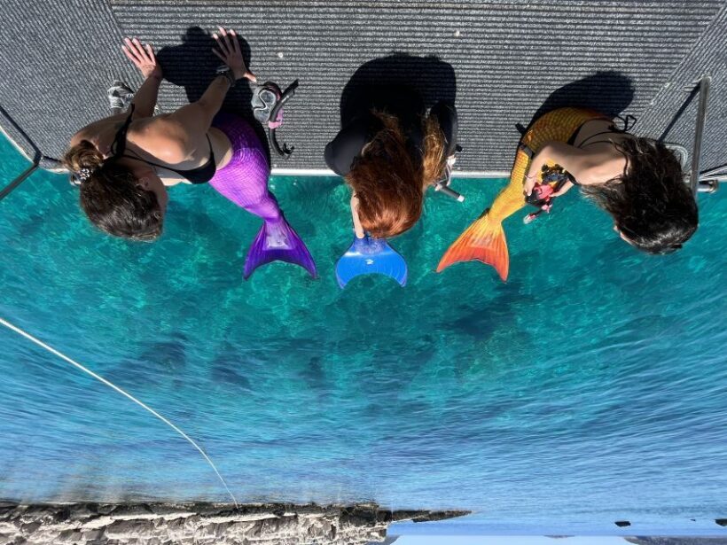 Kas: Scuba Diving Experience - Real Travelers’ Perspectives