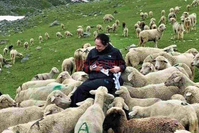 Kashmir Great Lakes Trek - What Makes the Kashmir Great Lakes Trek Special?