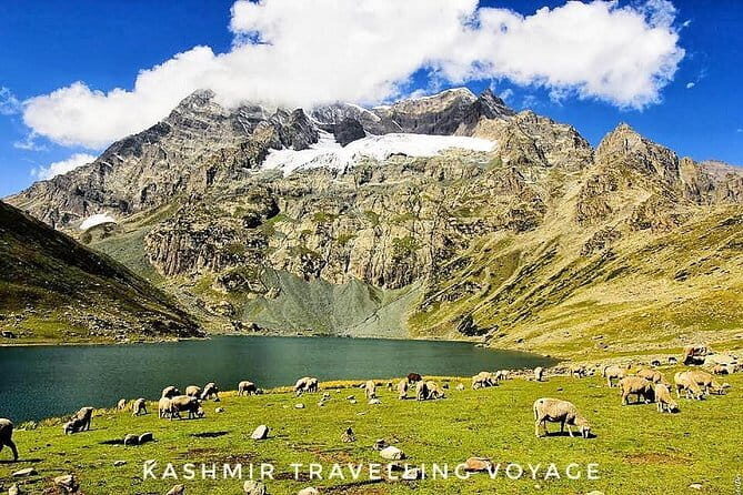 Kashmir Group Tour Packages : 4 Days 5 Nights - Key Points