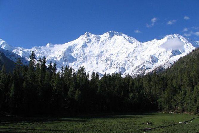 Kashmir With Delhi & Agra Northern Part of India - The Itinerary in Detail