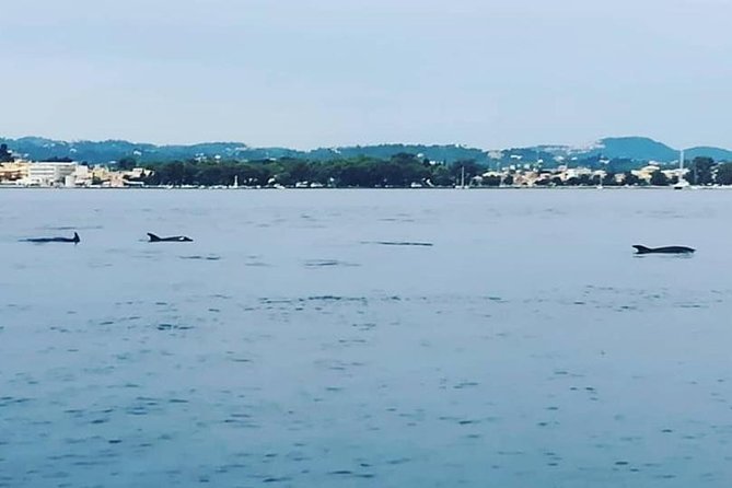 Kassiopi Private Daily Sailing Yacht Cruise - Who Should Consider This Cruise?