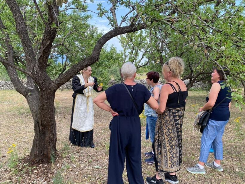 Kastela: Wine & Olive Tasting Tour w/Delicacies & Live Music - A Taste of Dalmatia: Wine & Olive Tasting Tour with Live Music