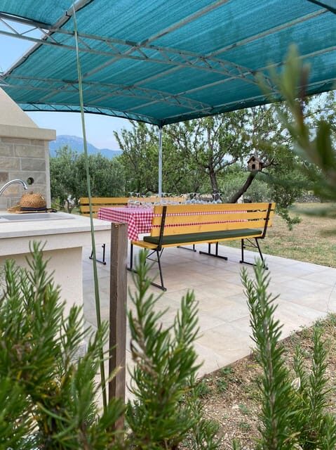 Kastela: Wine & Olive Tasting Tour w/Delicacies & Live Music - Who Would Enjoy This Experience?