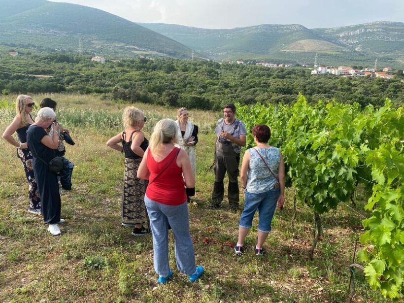 Kastela: Wine & Olive Tasting Tour w/Delicacies & Live Music - FAQ