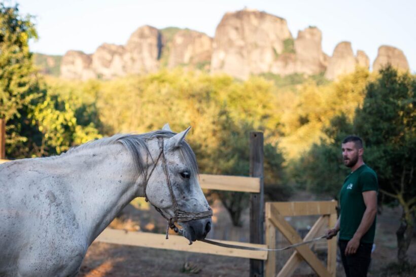 Kastraki: Meteora Morning Horse Riding with Monastery Visit - Price and Value