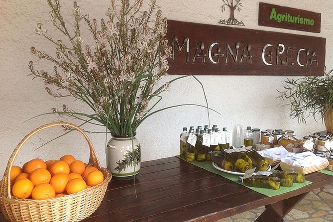 Katakolon 7hour Tour : Olympia-Honey Farm-Winery-Beach - Honey Farm Visit