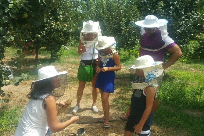 Katakolon Shore Excursion: Olympic Site, Honey/Olive Oil Tasting - Customer Feedback and Ratings