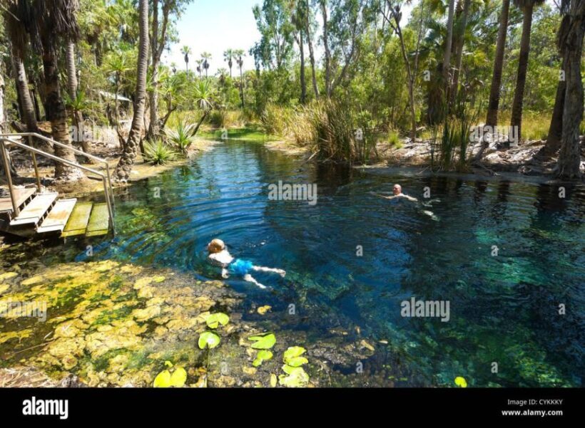 Katherine Gorge - Mataranka - Edith Falls - Adelaide River - Who Would Love This Tour?