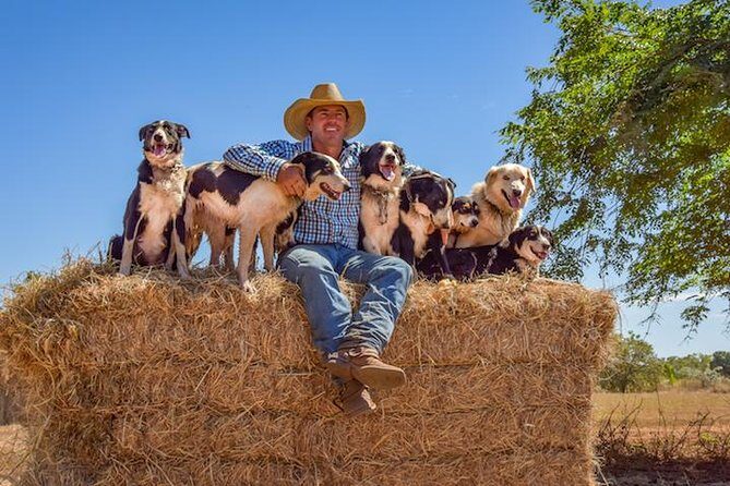Katherine Outback Experience Show Ticket - The Experience in Detail: What to Expect