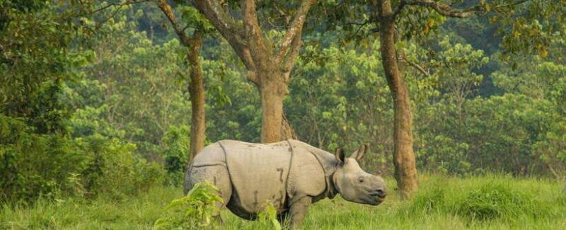 Kathmandu: 1-Way Flight Ticket to Chitwan Bharatpur - The Flight Itself: What to Expect