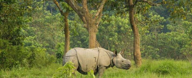 Kathmandu: 1-Way Flight Ticket to Chitwan Bharatpur - Who Will Love This Experience?