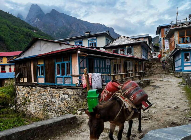 Kathmandu: 15-Day Everest Base Camp Trek with Guide - What Does the Tour Include and Exclude?