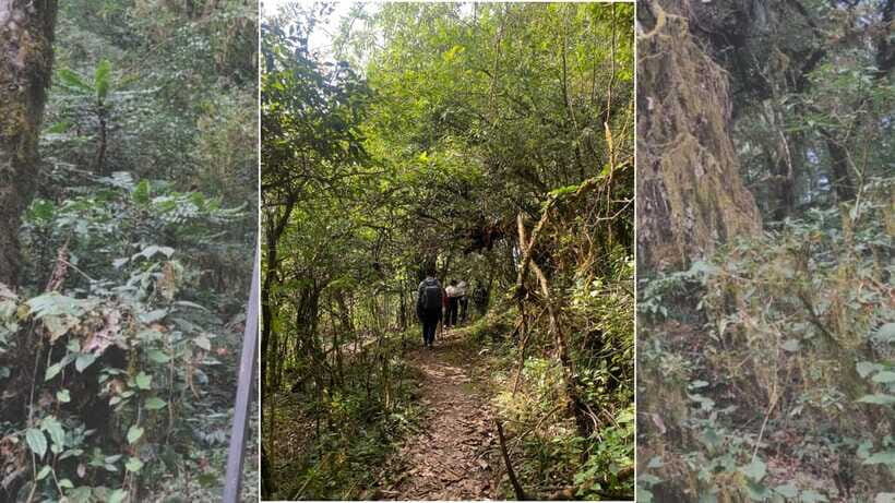 Kathmandu: 1N-2D Hiking to Chisapani and Nagarkot - An Authentic Nepalese Escape in Just 2 Days