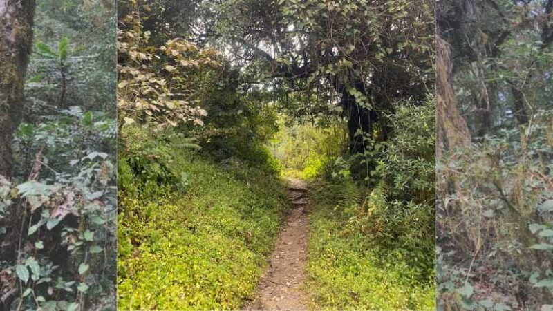 Kathmandu: 2-Day Chisapani and Nagarkot Hiking Tour - Key Points