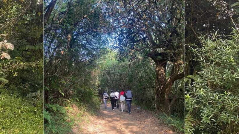 Kathmandu: 2-Day Chisapani and Nagarkot Hiking Tour - Authenticity and Real Experiences