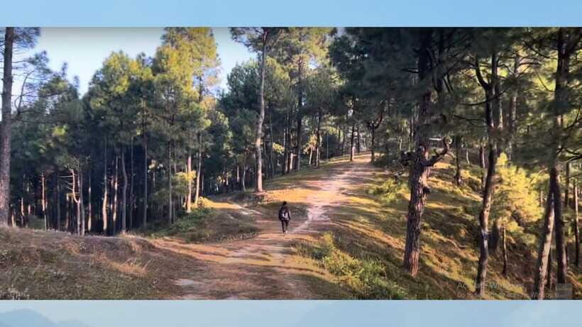 Kathmandu: 3-4 Hrs Hiking at Kapan-Jagdol-Nagi gumba - The Sum Up