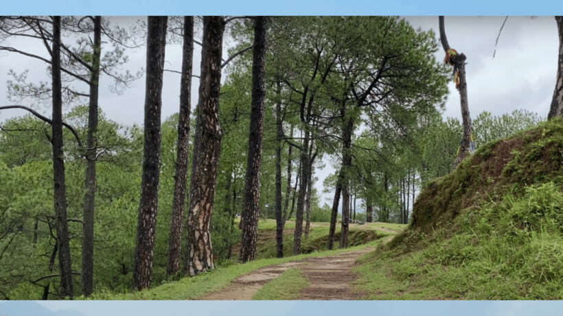 Kathmandu: 3-4 Hrs Hiking at Kapan-Jagdol-Nagi gumba - FAQ