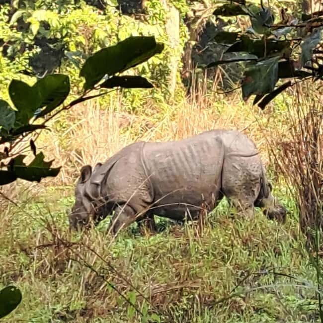 Kathmandu: 3-Day Chitwan Safari Tour with Hotel Transfers - Kathmandu: 3-Day Chitwan Safari Tour with Hotel Transfers — An In-Depth Look